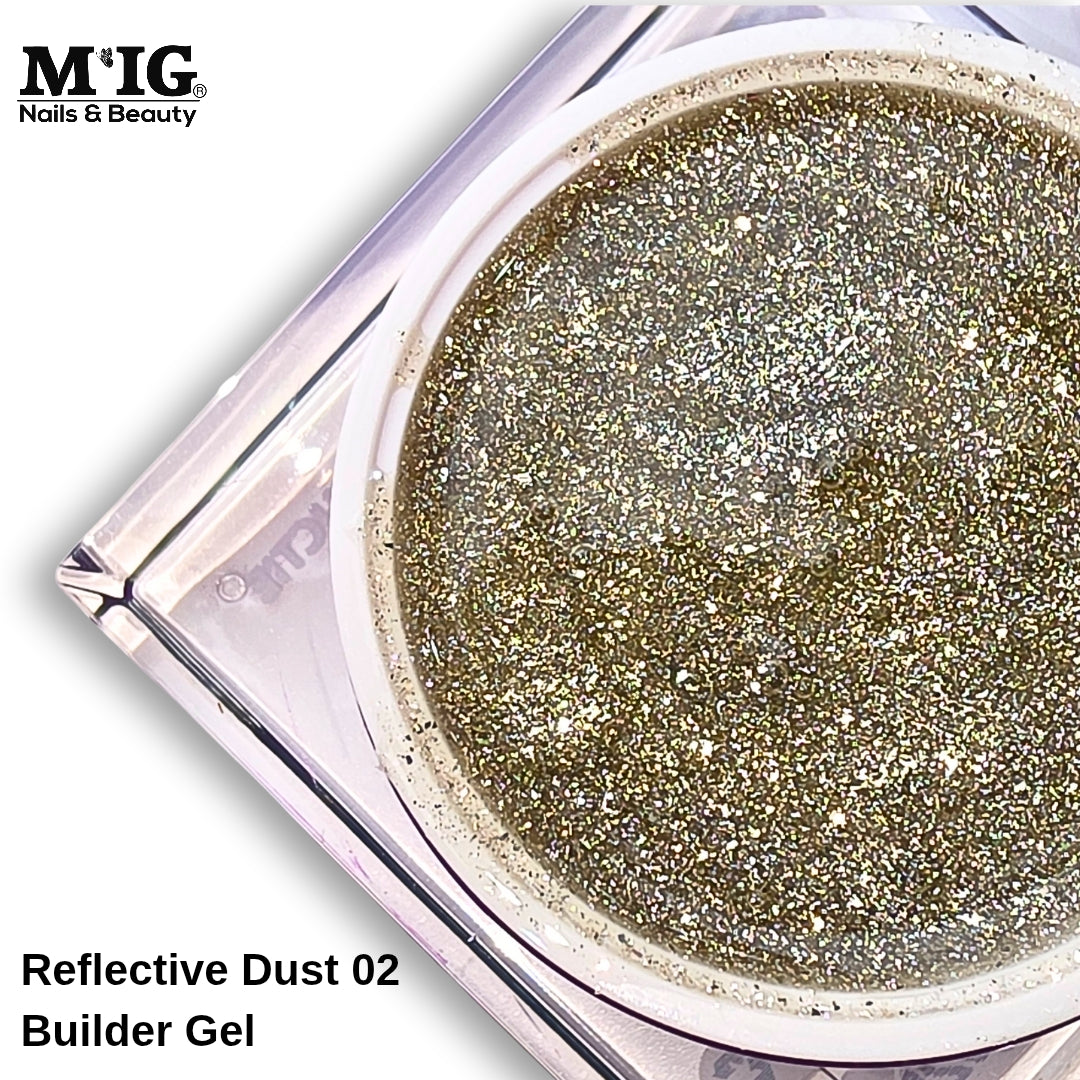 Reflective Dust 02 Builder Gel – MIGSHOP.RO